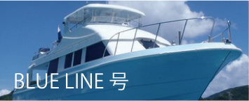 ボートチャーターの紹介 | 沖縄ダイビング｜20種以上のコース 体験有【BLUEZONE】